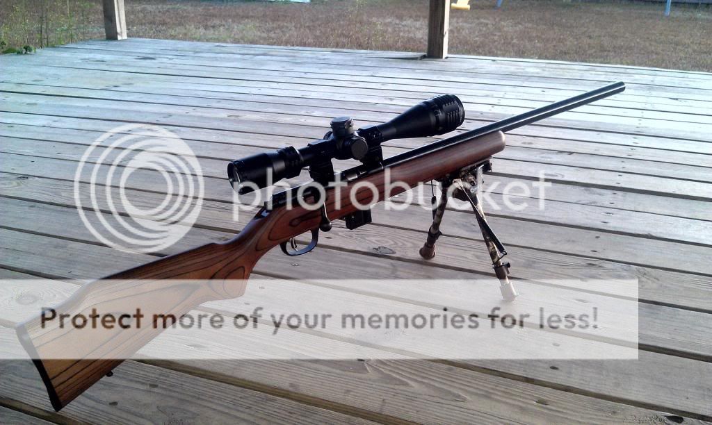 Marlin Picture Thread | Page 30 | Rimfire Central Firearm Forum